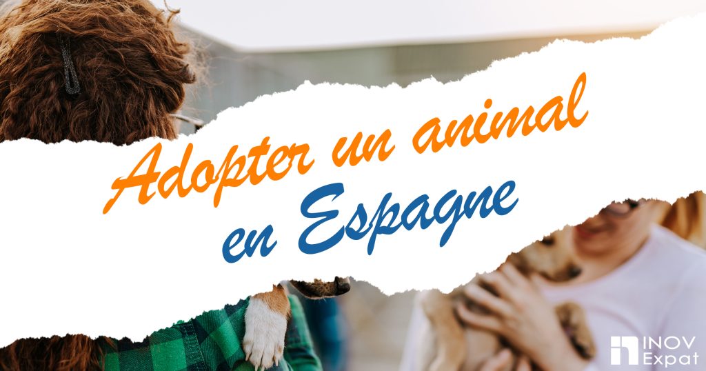 Adopter un animal en Espagne en 2025 : législation, refuges, coûts et ...